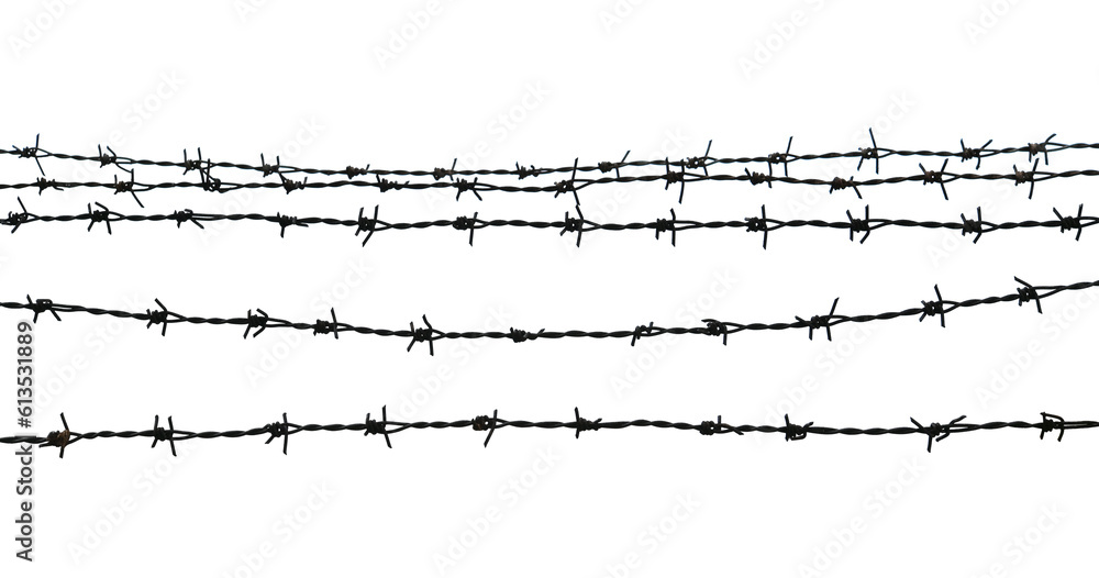 Barbed wire on transparent png Stock Photo | Adobe Stock