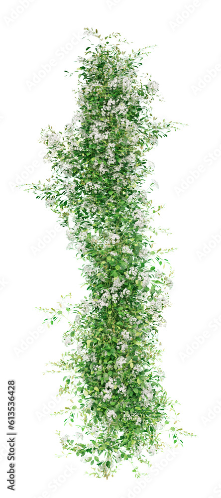 Plants ivy or a trail of realistic ivy leaves. Ivy green with white ...