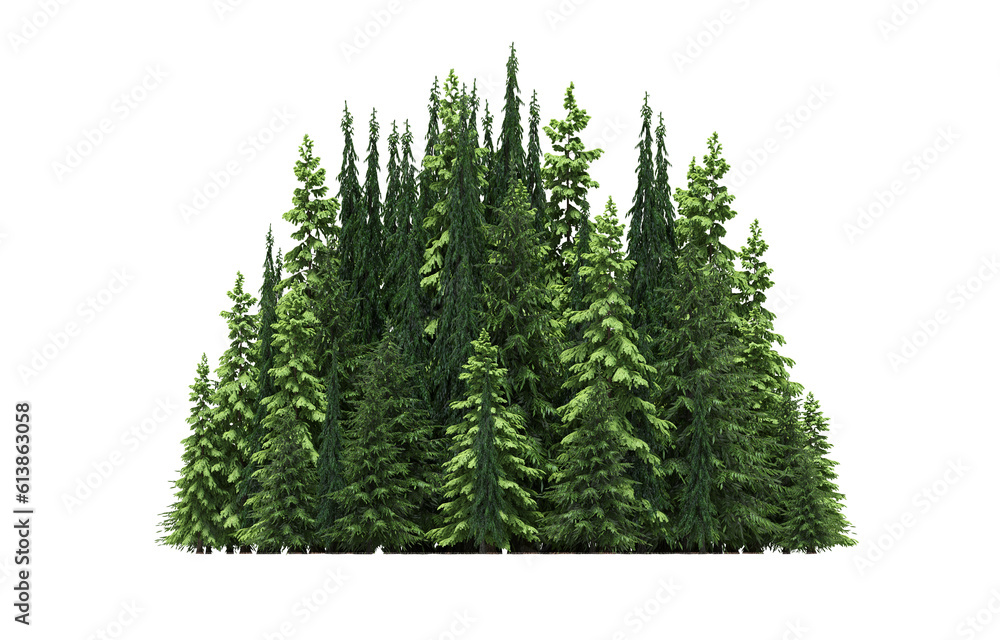 group of trees isolated on a transparent background, big trees in the ...