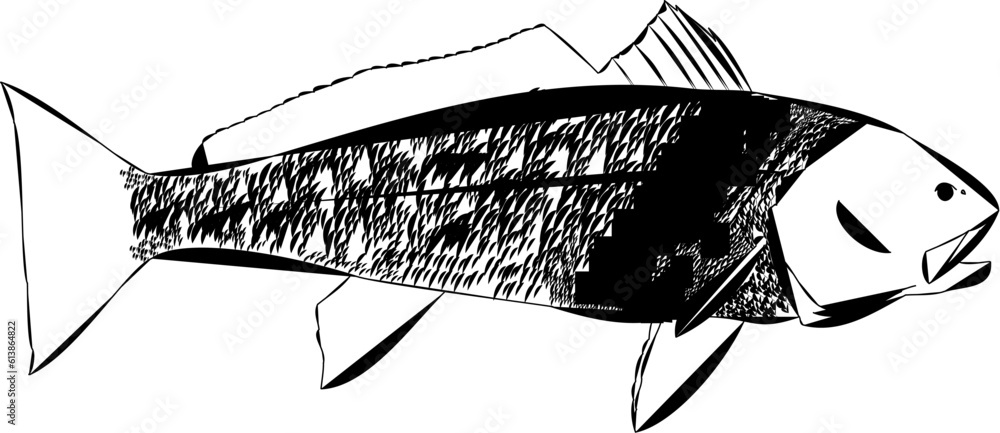 Prehistoric looking Redfish drawing Stock Vector | Adobe Stock