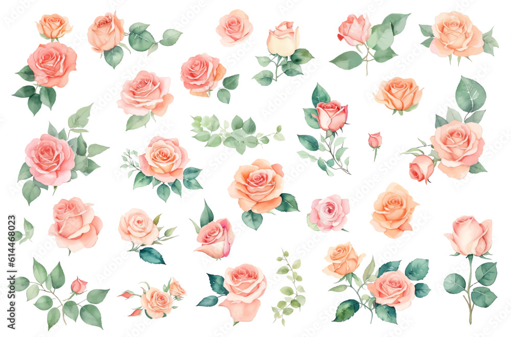 set of roses watercolor illustration. hand drawn, isolated white ...
