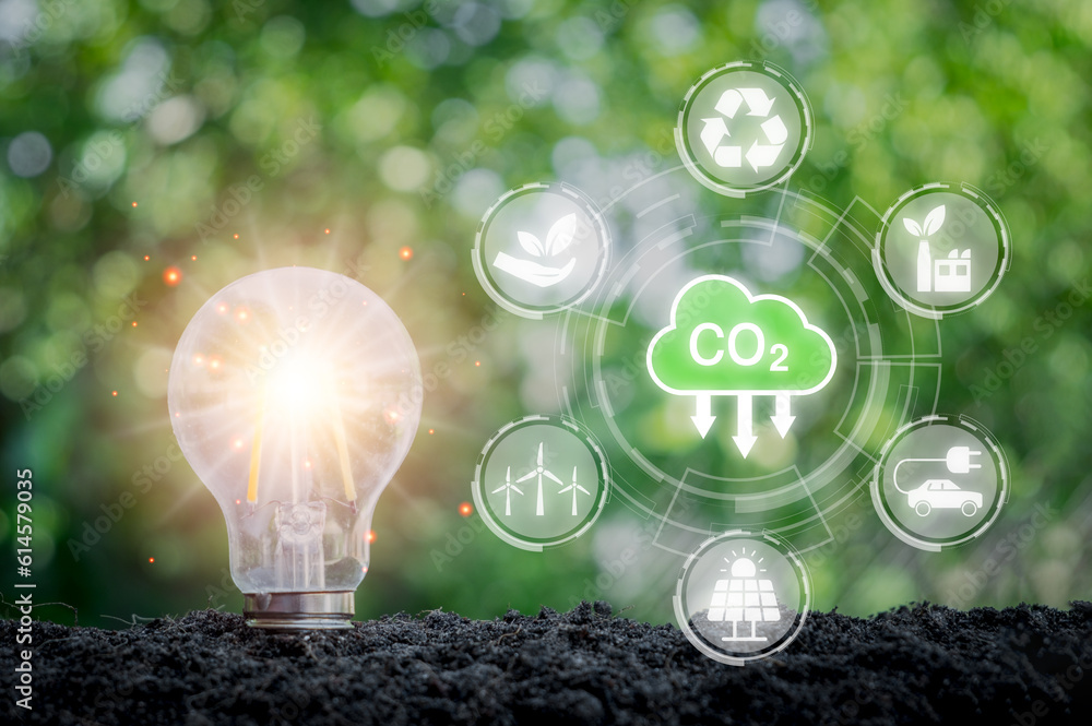 Reduce CO2 emission concept, Light bulb on soil with CO2 icon on virtual screen, Sustainable ...