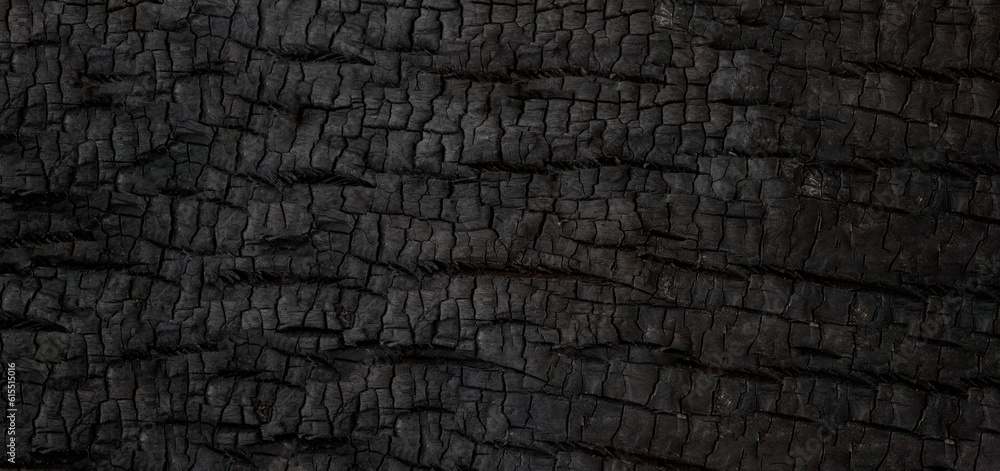 Burn wood texture. Black background, Details on the surface of charcoal ...