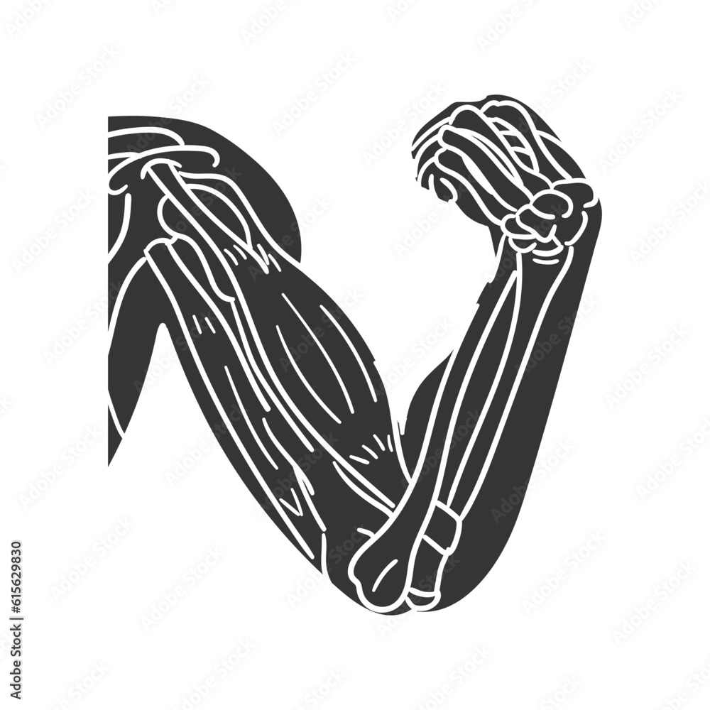Arm Anatomy Icon Silhouette Illustration. Human Body Muscle Vector ...