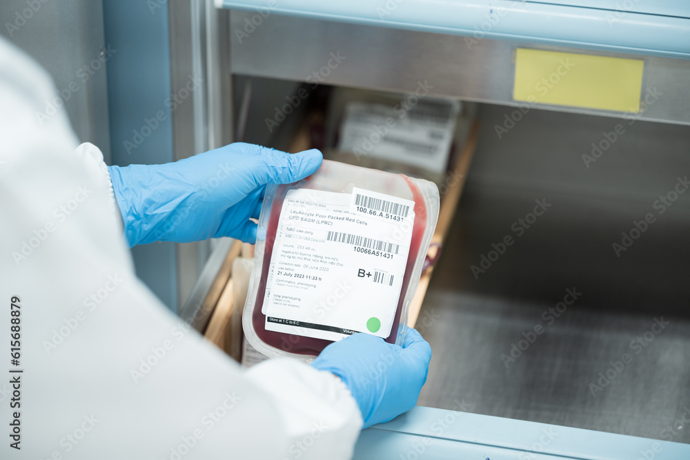Close up scientist hand holding red blood bag in storage refrigerator ...