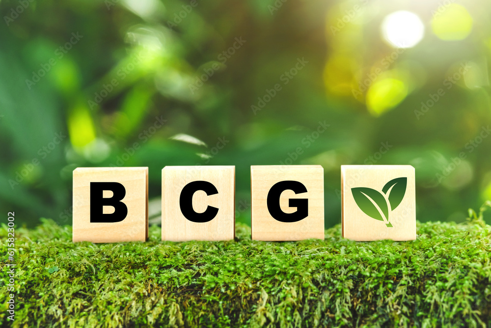 BCG concept ,Sustainable development goal (SDGs) Ideas for Sustainable ...