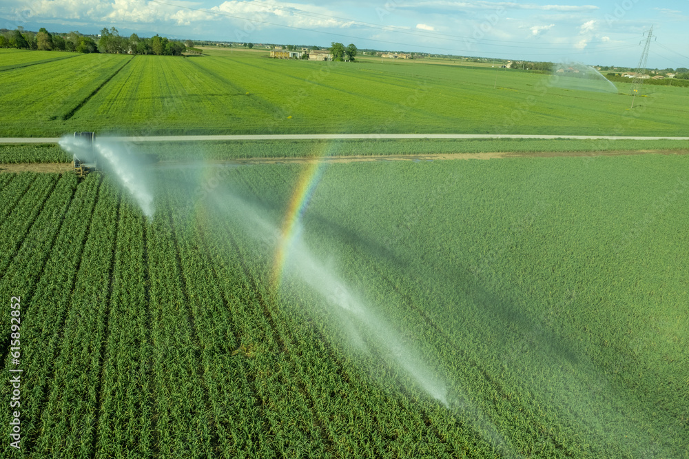 Rural field planted with garlic using hose reel system pumping water ...