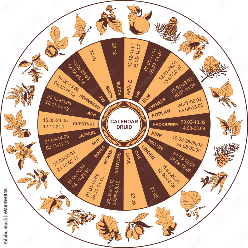 Druid celtic calendar. Trees: apple, fir, elm, cypress, poplar ...