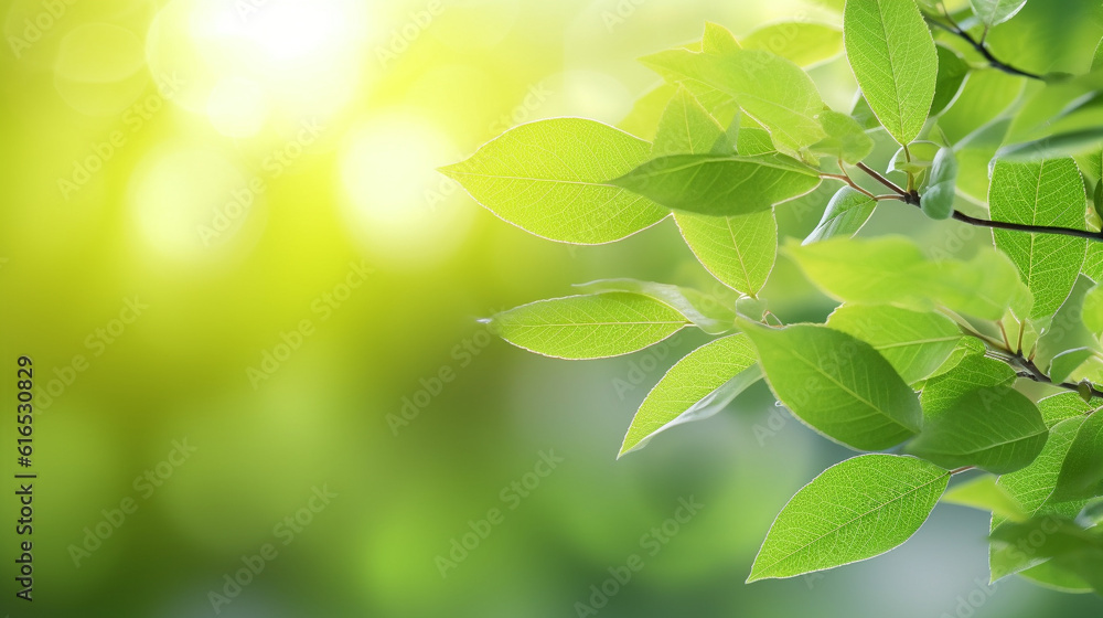 green leaves background HD 8K wallpaper Stock Photographic Image Stock ...
