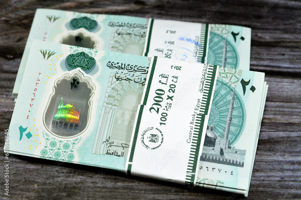 new Egyptian 20 EGP LE twenty polymer pounds cash money banknote bill ...