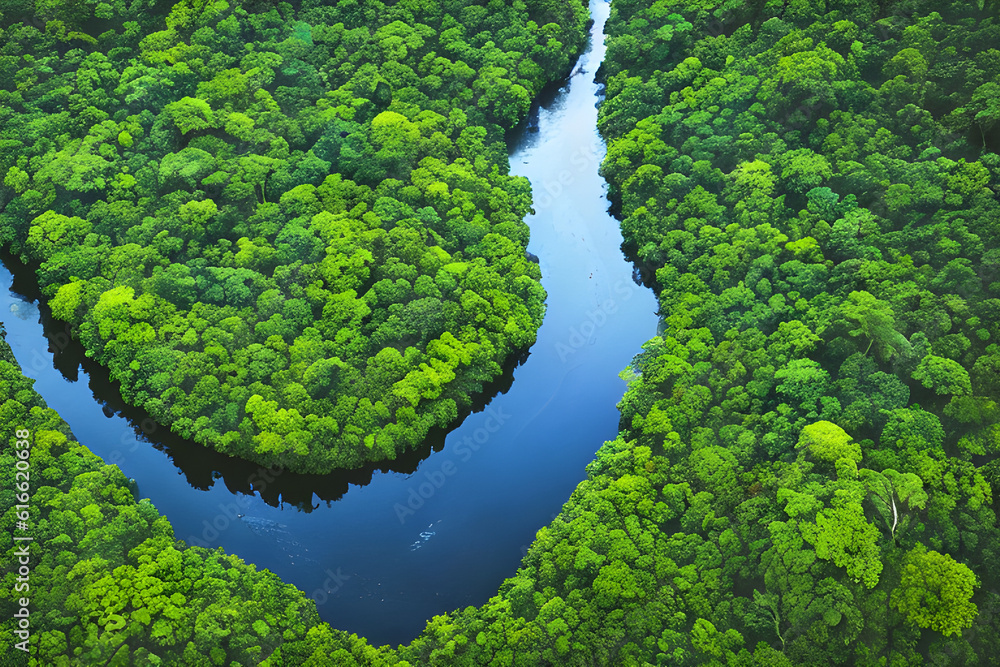 birds eye view of a rain forest and river (AI-generated fictional ...