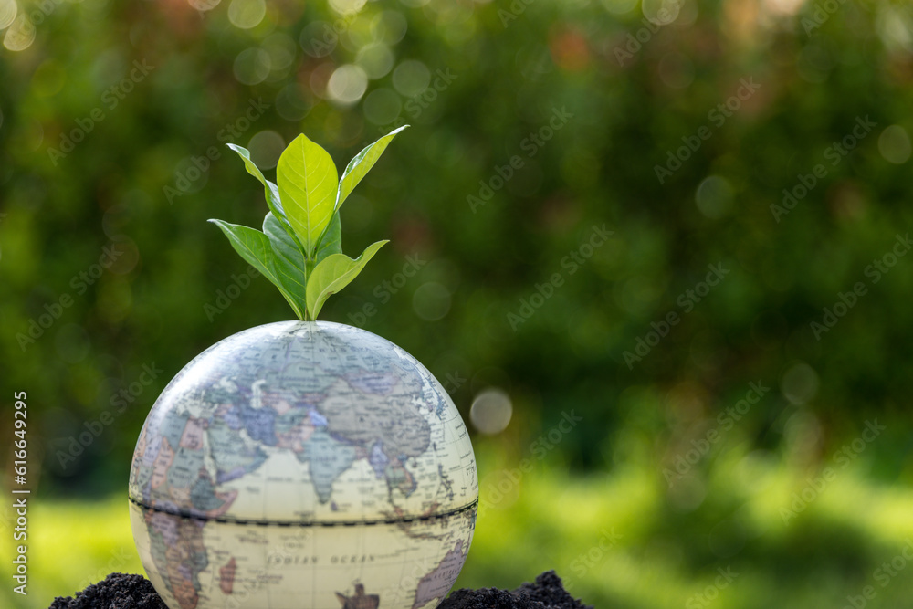 Photo Stock Earth, planet and globe are our home. Environmental is a ...