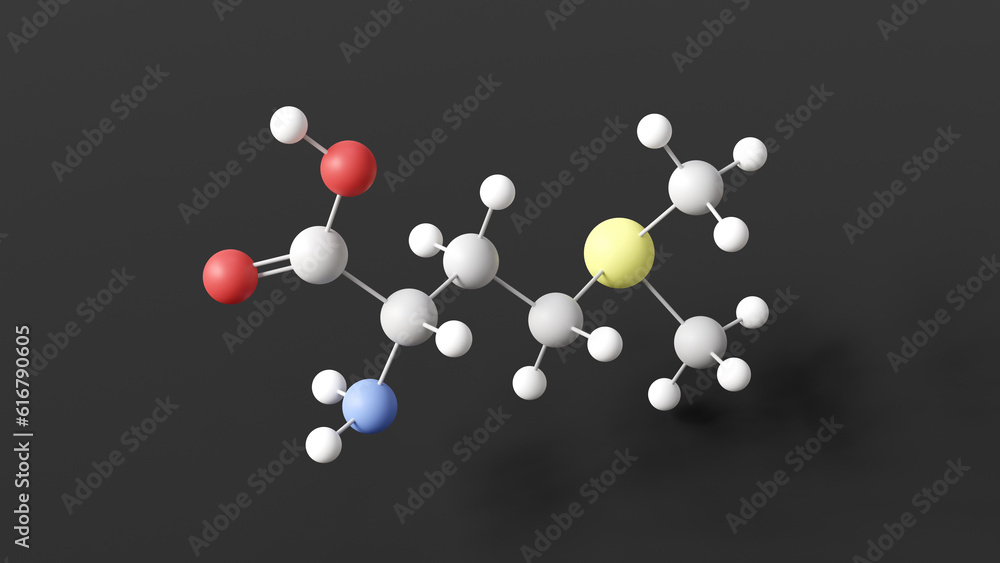 s-methylmethionine molecule, molecular structure, vitamin u, ball and ...