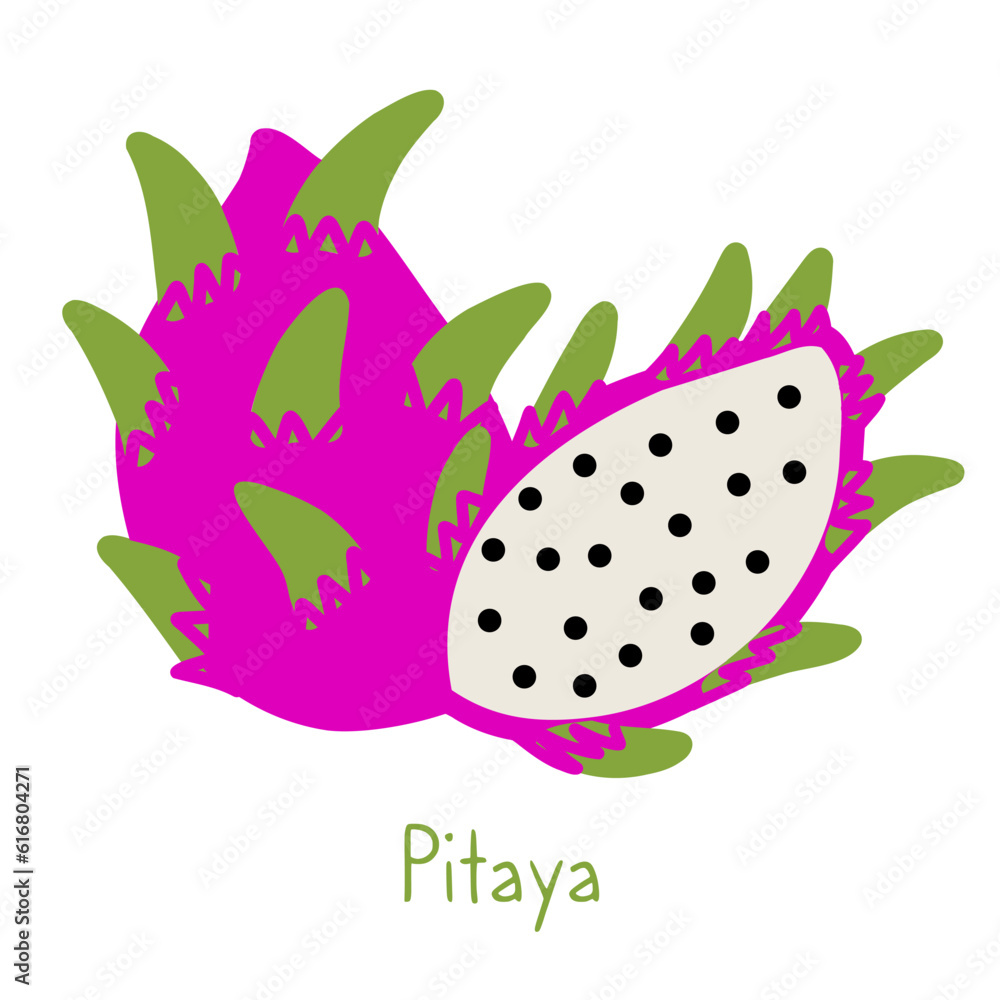 Pitaya isolated hand drawn illustration on a white background. Simple ...
