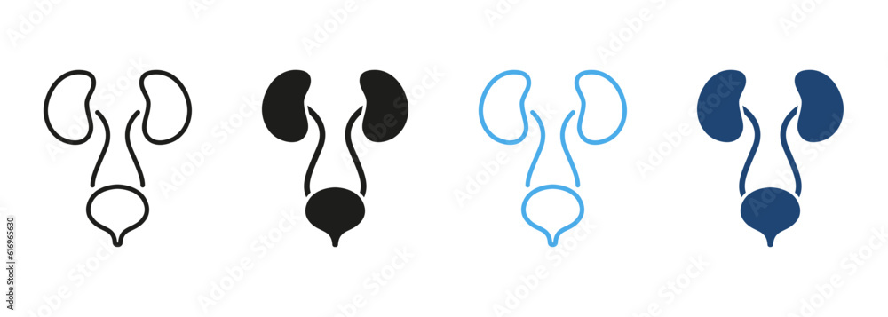 Healthy Internal Organs, Bladder and Kidney Health Symbol Collection ...