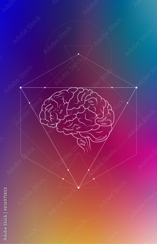 Stock-Vektorgrafik „Minimal neuroscience infographic on gradient. Human ...