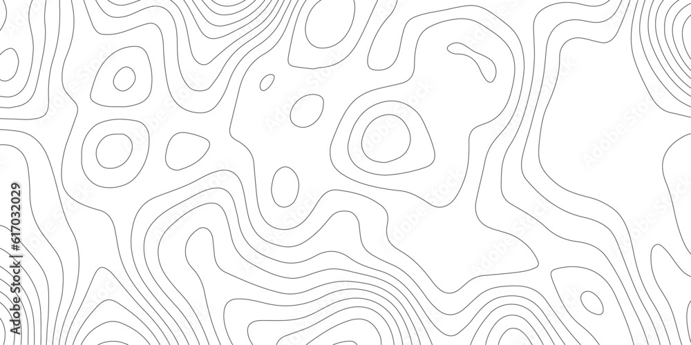 Topographic map background geographic line map with elevation ...