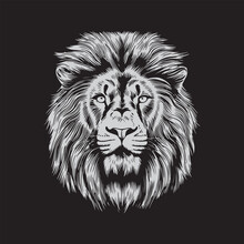 Lion Vintage Illustration Free Stock Photo - Public Domain Pictures