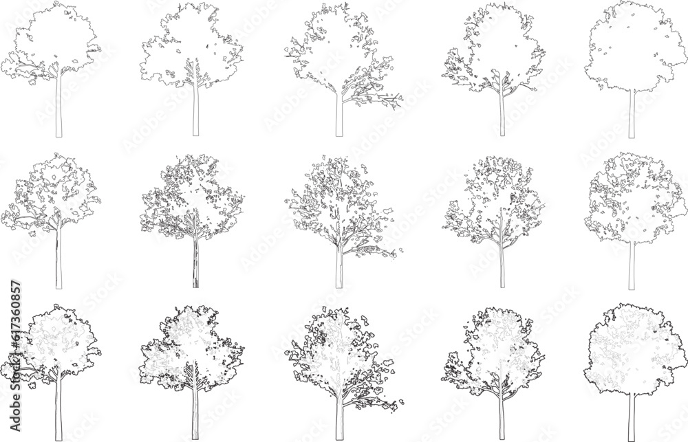 Tree elevation line silhouettes - maple tree Stock Vector | Adobe Stock