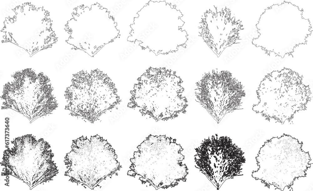 Tree elevation line silhouettes - shrub Stock Vector | Adobe Stock