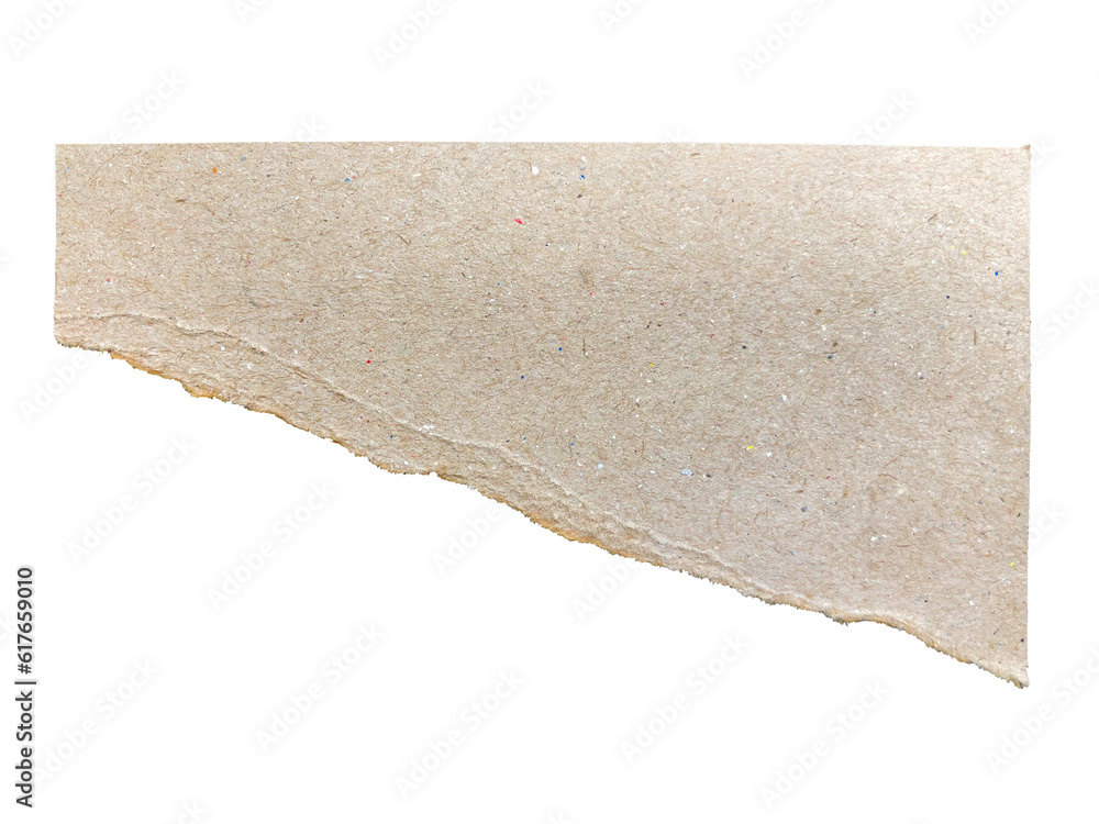 Pieces of ripped paper texture isolated Stock Photo | Adobe Stock