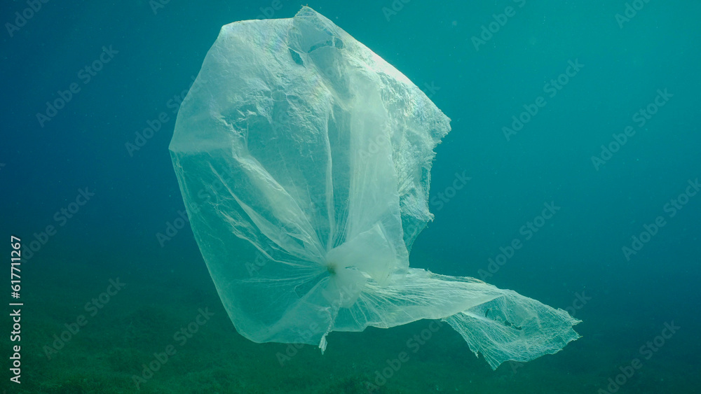 Old plastic bag drifting in water column over seagrass meadow. Plastic ...