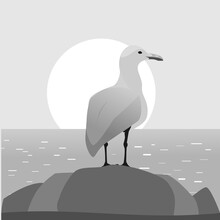 Seagull Perched On Rock Free Stock Photo - Public Domain Pictures
