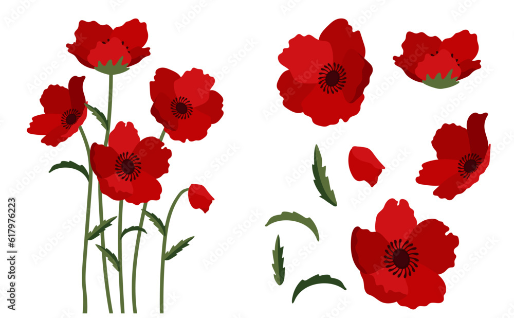 poppy flowers background.Eps 10 vector. Stock Vector | Adobe Stock