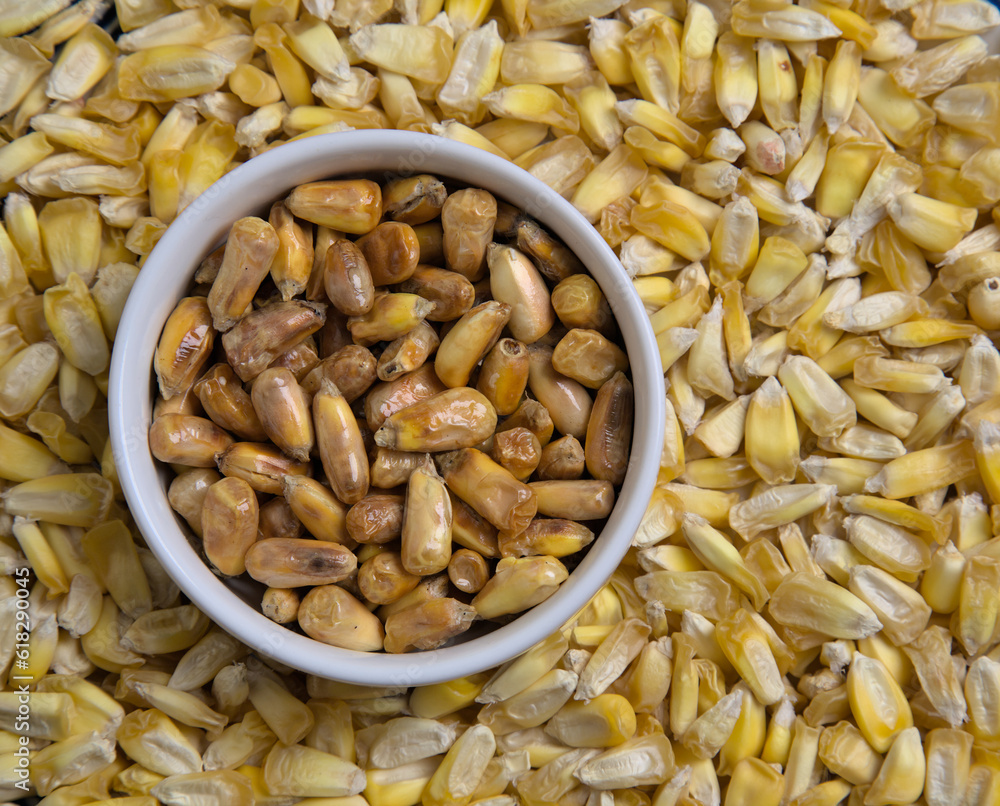 Peruvian chulpe corn kernels (raw roasted cancha nuts) for ceviche or ...