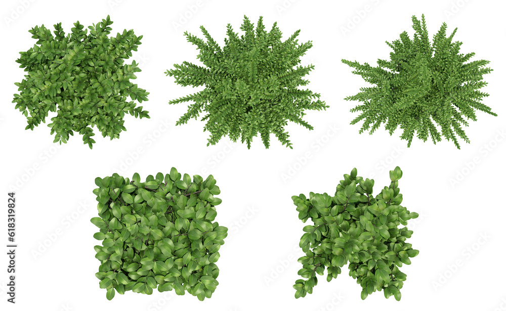 Green trees on top view isolated on transparent background, 2d plants ...