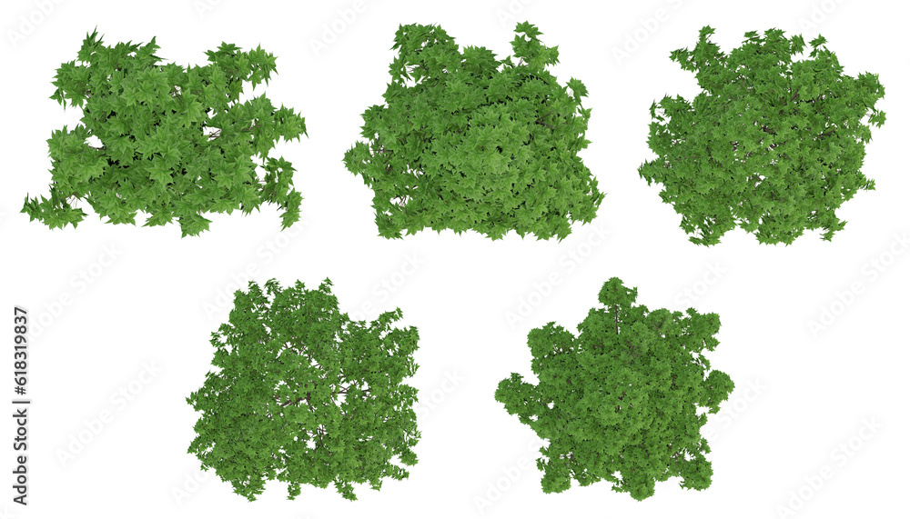 Green trees on top view isolated on transparent background, 2d plants ...