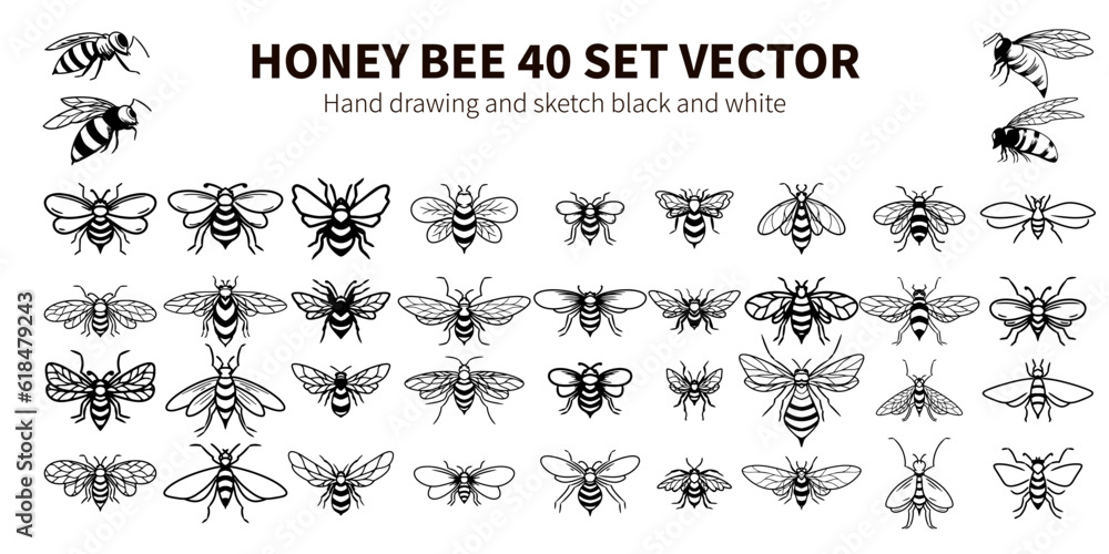 Vector de Stock HONEY BEE 40 SET VECTOR HAND DRAWING AND SKETC BLACK ...