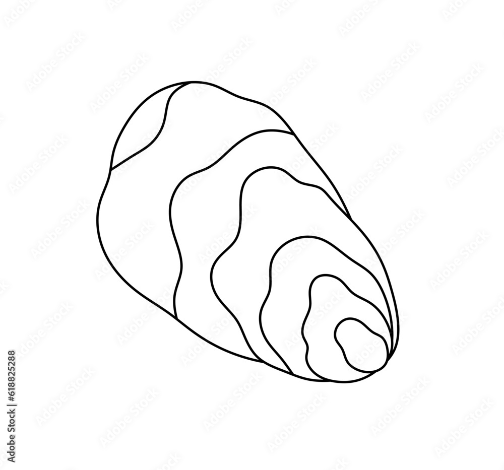 Vector isolated one single oyster shell flap top view colorless black ...