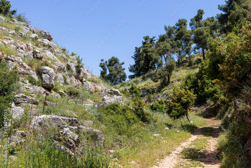 Mount Meron is a mountain in the Upper Galilee region of Israel. It has ...