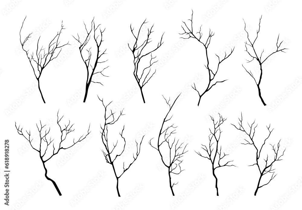 Vector collection of black silhouettes of tree branches isolated on ...