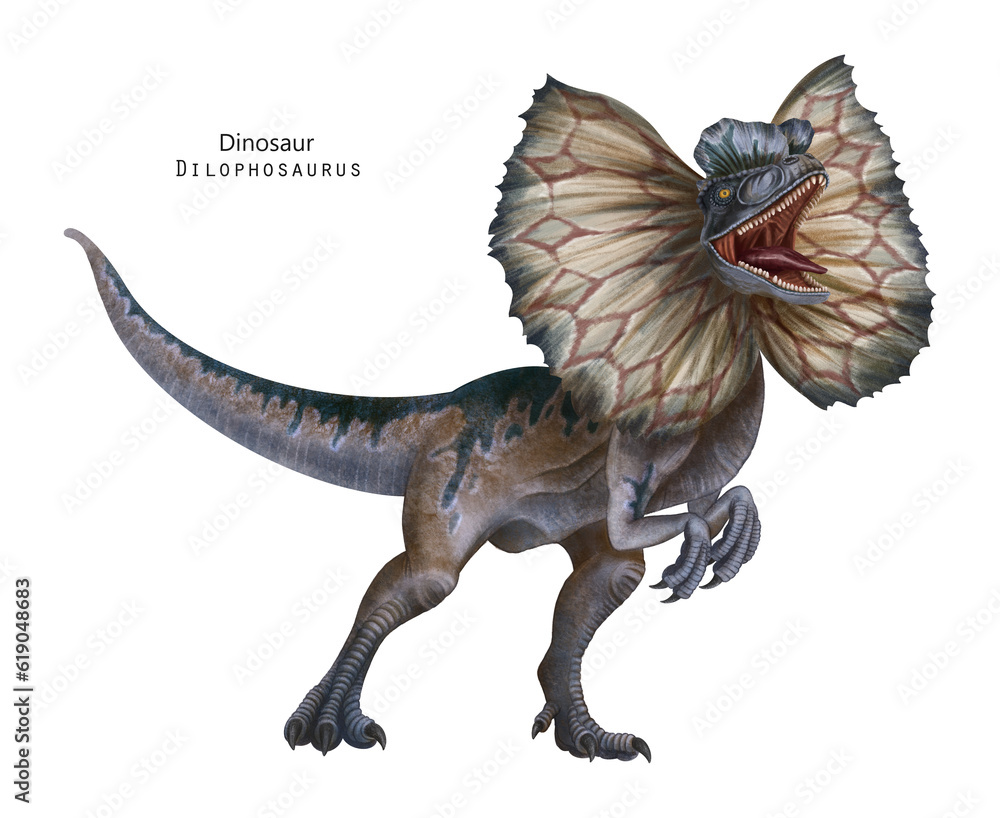 Dilophosaurus with frill illustration. Dinosaur with crest on head. Brown, blue, grey dino. Roar ...