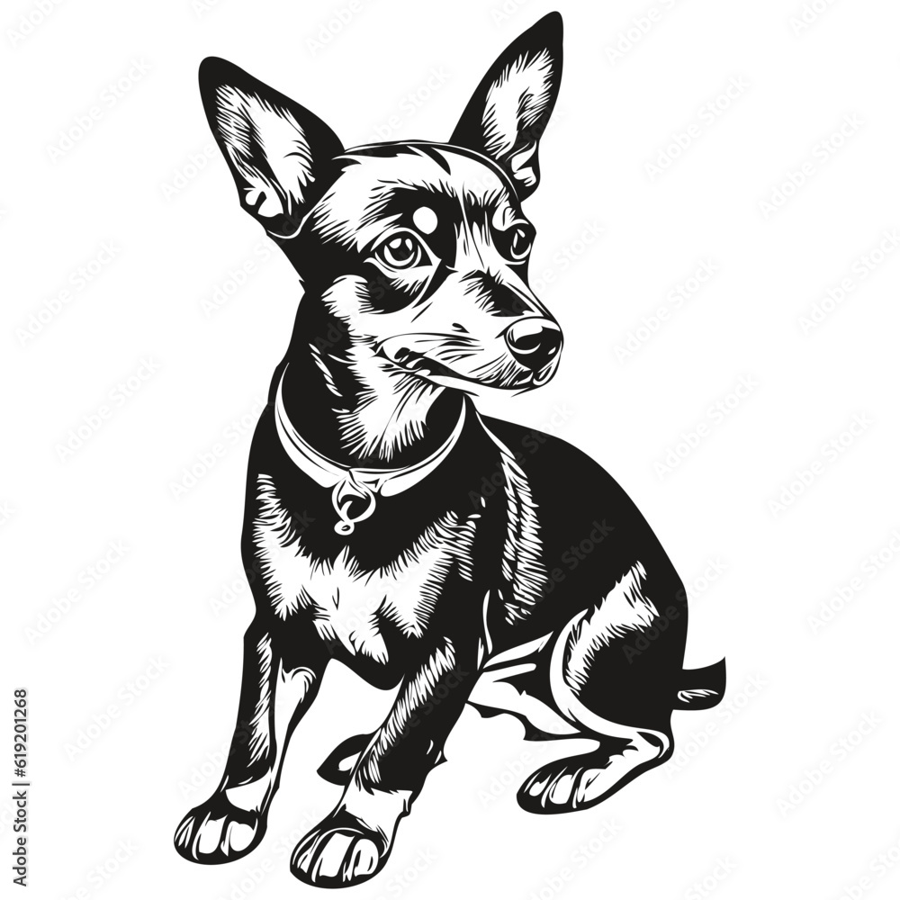 Miniature Pinscher dog head line drawing vector,hand drawn illustration ...