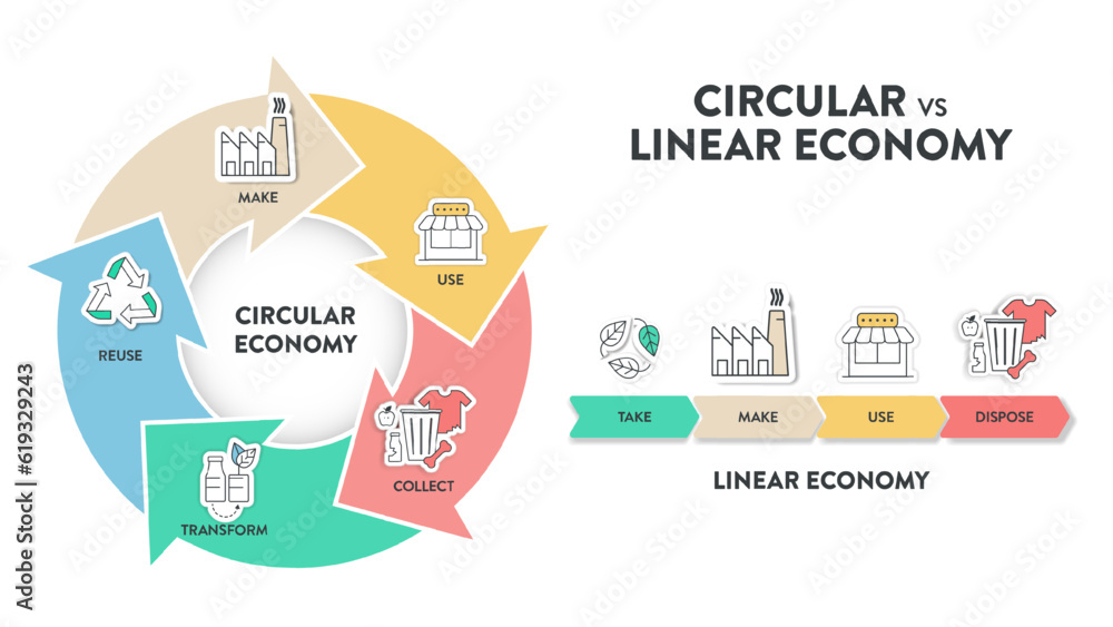 The vector infographic diagram of the difference between the circular ...