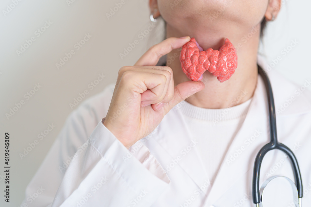 Doctor with human Thyroid anatomy model. Hyperthyroidism ...