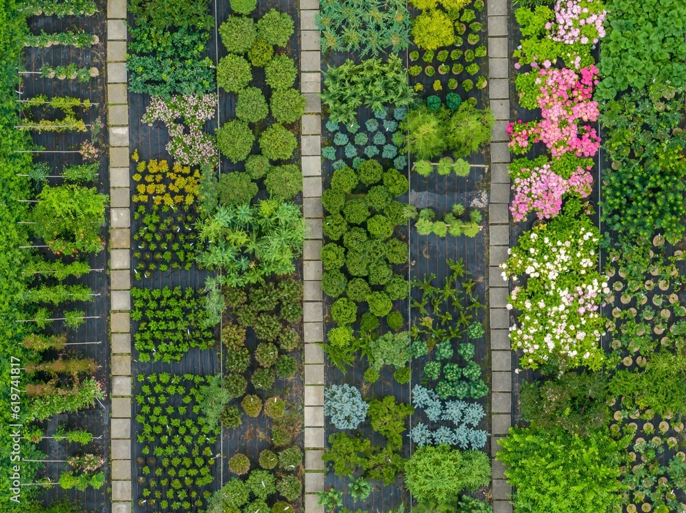 Aerial view of garden with homegrown vegetables. Concept of organic ...