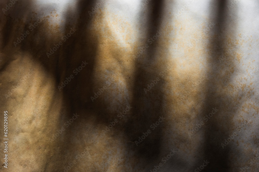 Paper texture background- clipart photoshop Stock Photo | Adobe Stock