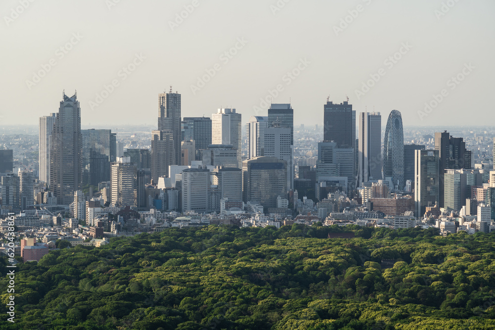 Tokyo, Japan: Aerial view of Shinjuku skyline rising above the Yoyogi park in Tokyo in Japan ...