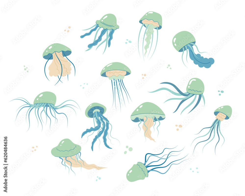 Jellyfish cartoony flat decoration set. Hand-drawn poisonous medusa ...