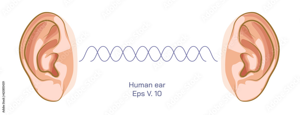 Difference between two ears, double hearing, density or pressure of ...