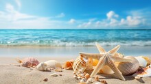 Seashells On Tropical Beach Free Stock Photo - Public Domain Pictures