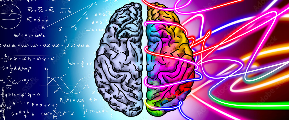 Logic and creativity. Illustration of brain hemispheres, banner design ...