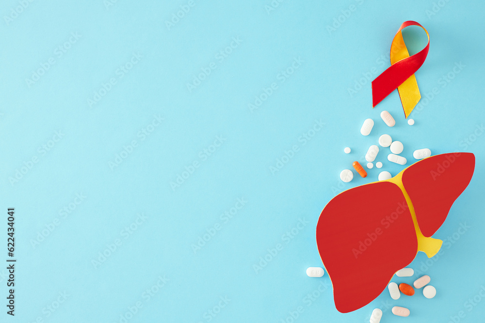 World hepatitis day theme. Top view photo of healthy liver, awareness ...