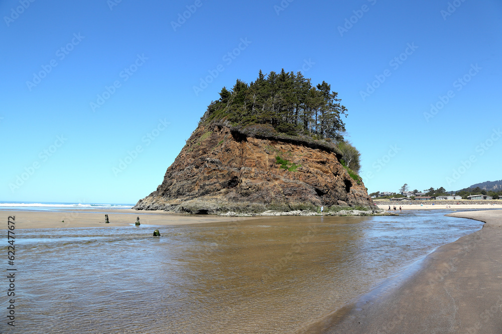Along the Oregon Coast: Neskowin Ghost Forest on Neskowin Beach ...