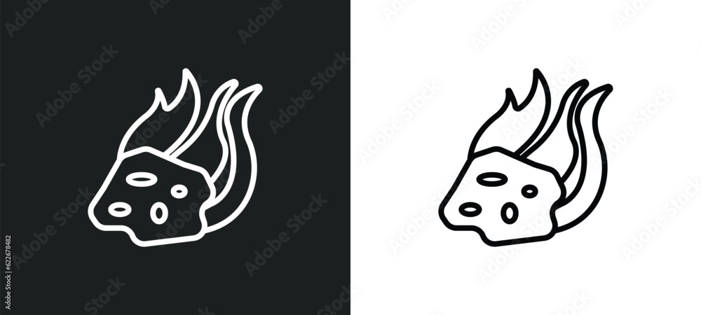 meteor outline icon in white and black colors. meteor flat vector icon ...