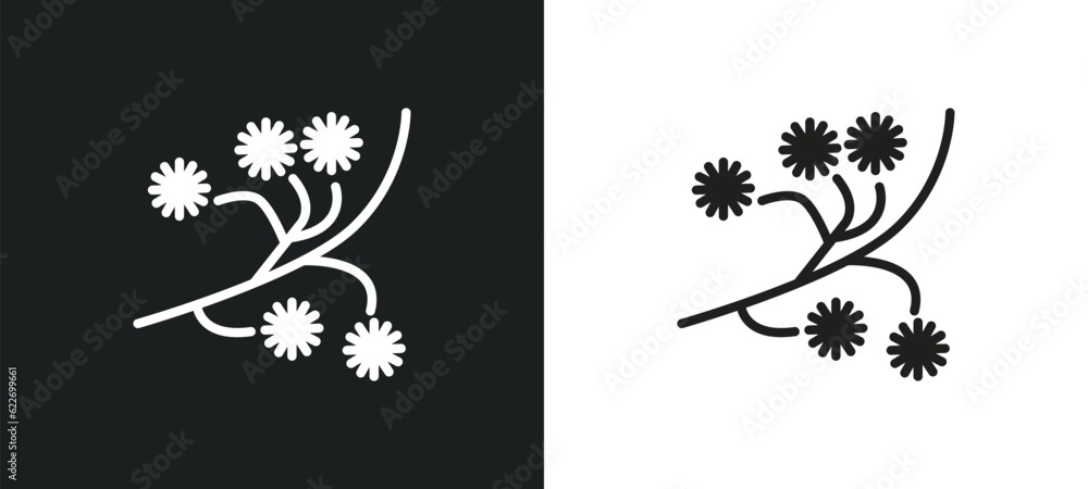 mimosa outline icon in white and black colors. mimosa flat vector icon ...